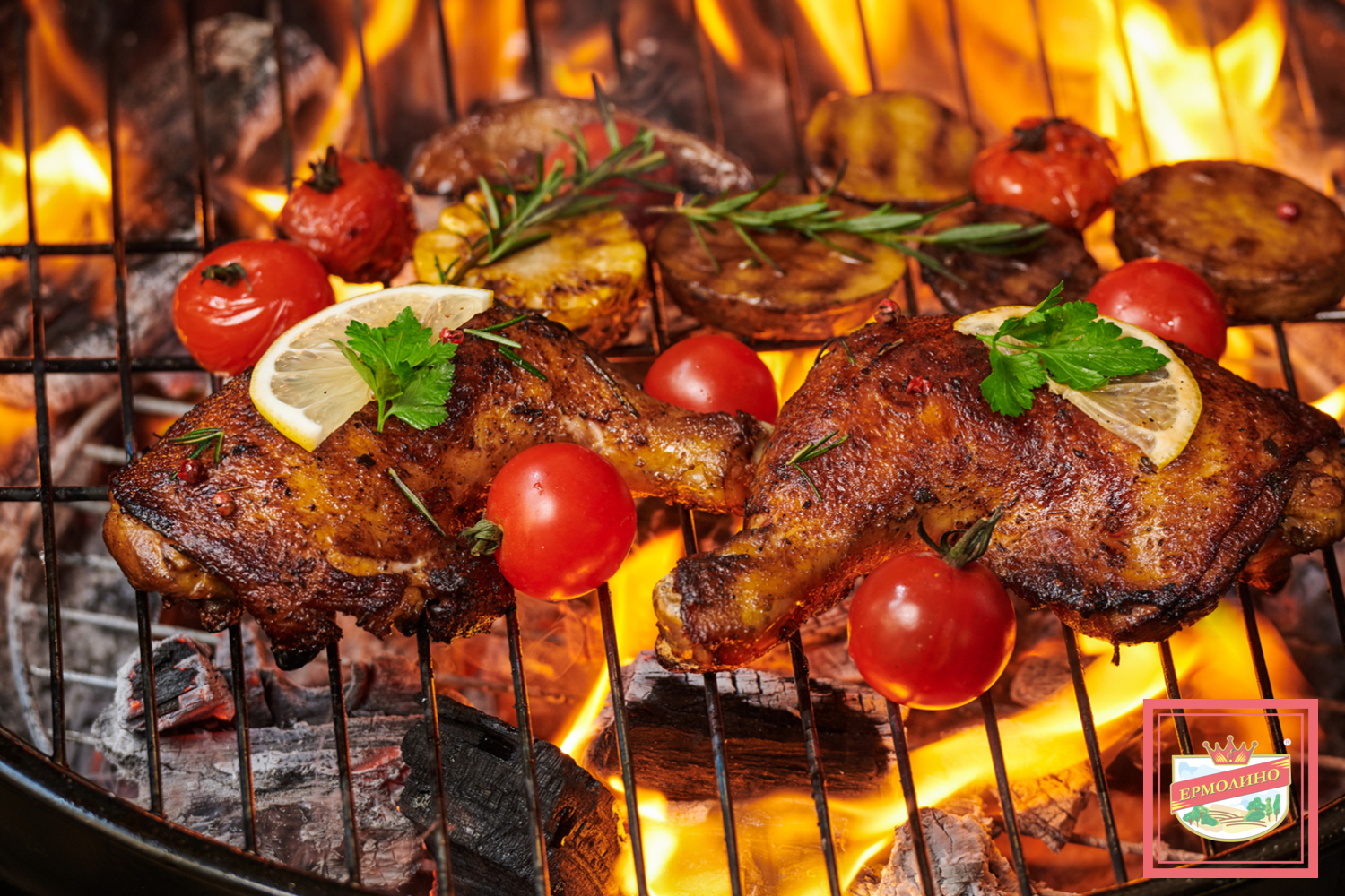 Гриль и барбекю: в чем отличия